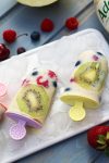 Vegan Popsicles | Under 3 ingredients / 5 minutes prep time