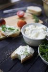 Vegan Cream Cheese - cultured / with probiotics