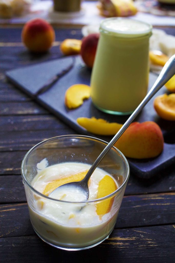 Iaurt de casa cu fructe, vegetal / de post - cu probiotice