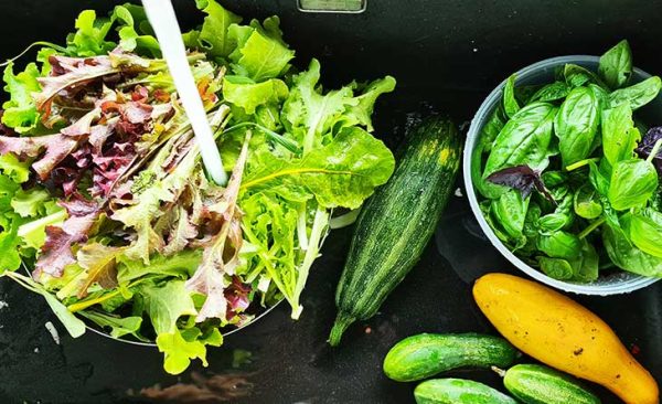 Best Grilled Halloumi Salad