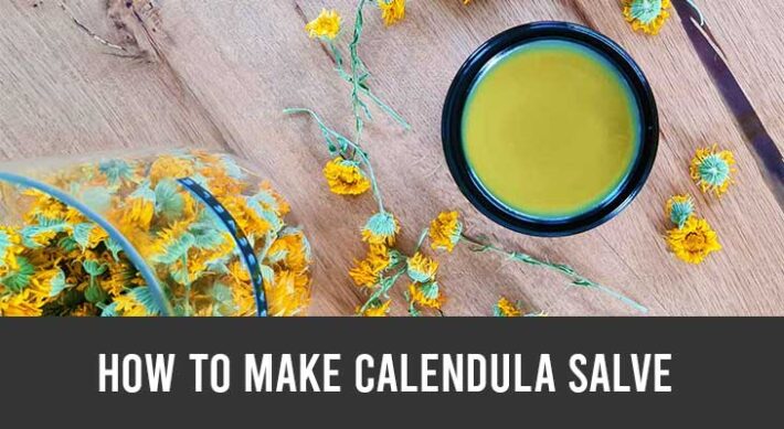 How to make calendula salve - step by step easy method