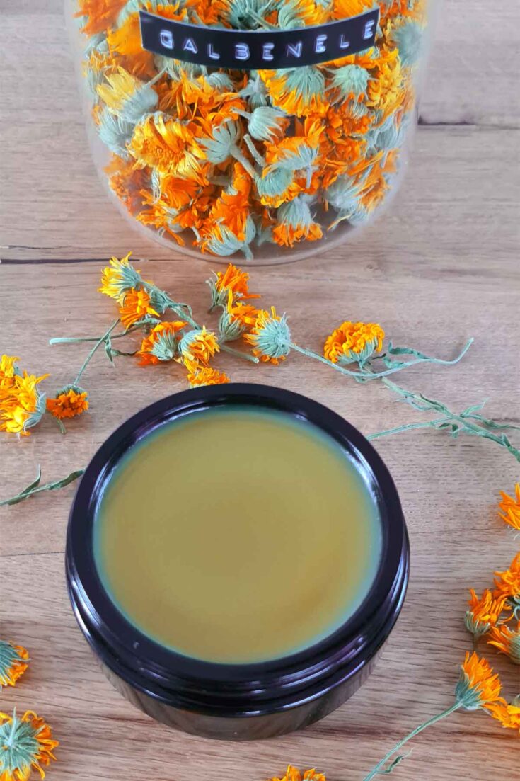 How to make calendula salve - step by step easy method