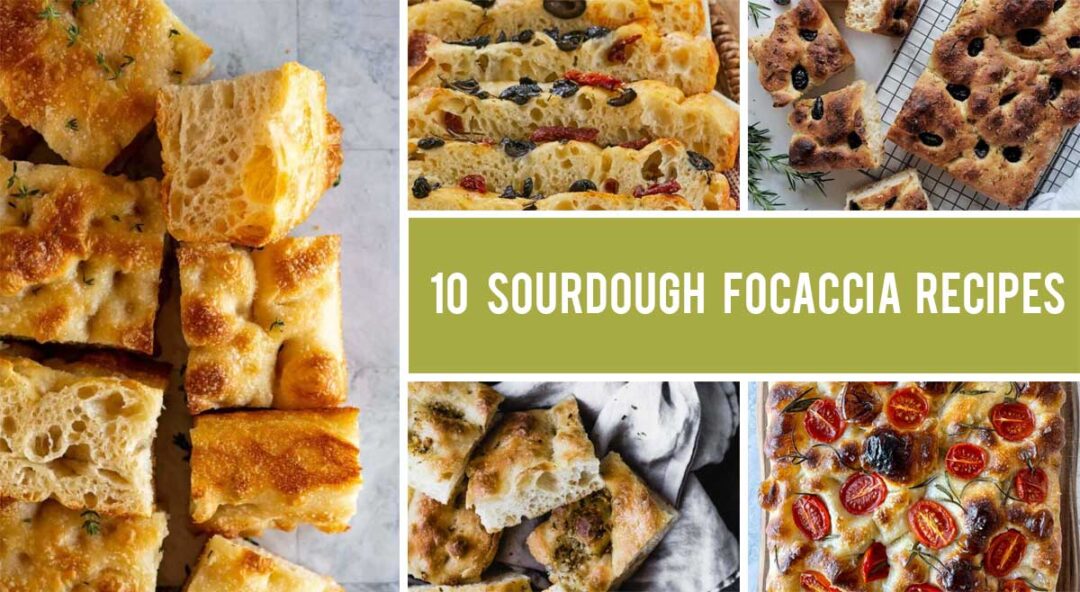 10 Best Sourdough Focaccia Recipes (Fail-Proof)