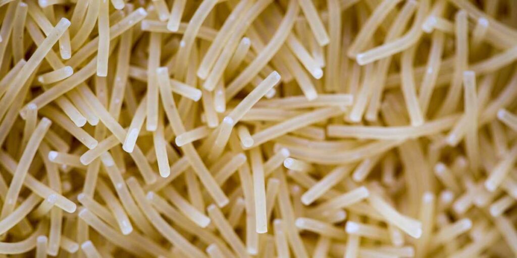 10+ Types of Pasta Dishes From Classic to Creative | Guide