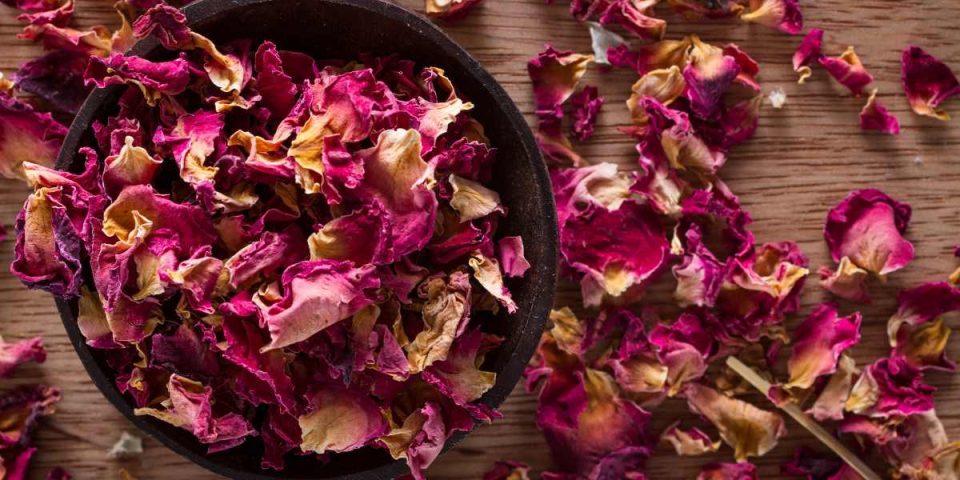 How to Grow Edible Roses for Jams, Beauty Products, and more!