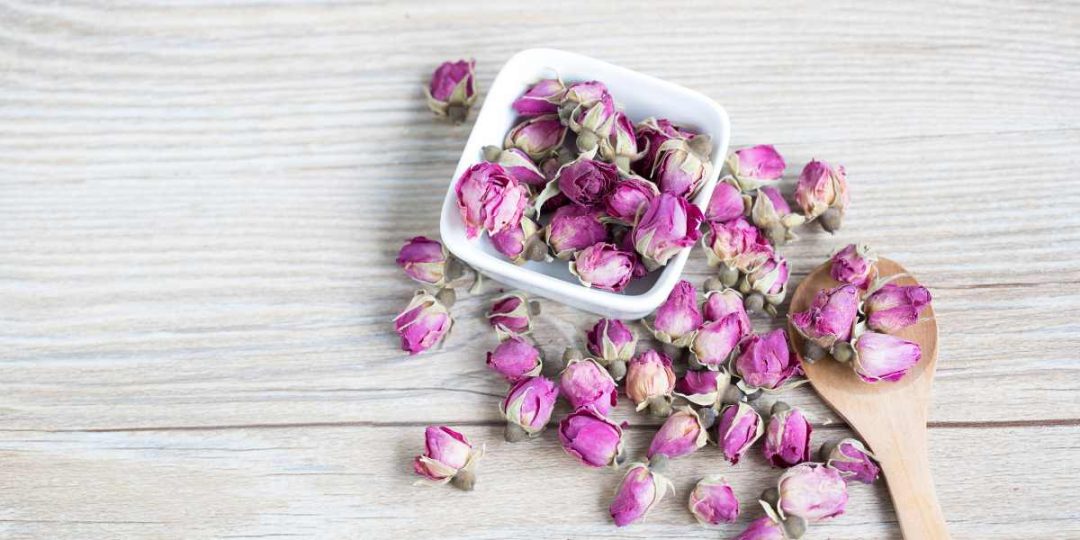 How to Grow Edible Roses for Jams, Beauty Products, and more!