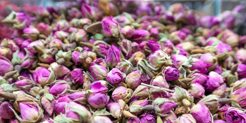 How to Grow Edible Roses for Jams, Beauty Products, and more!