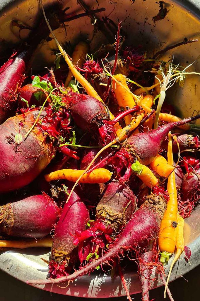 Root Vegetables Coleslaw (with Beetroot, Carrot & Celeriac)